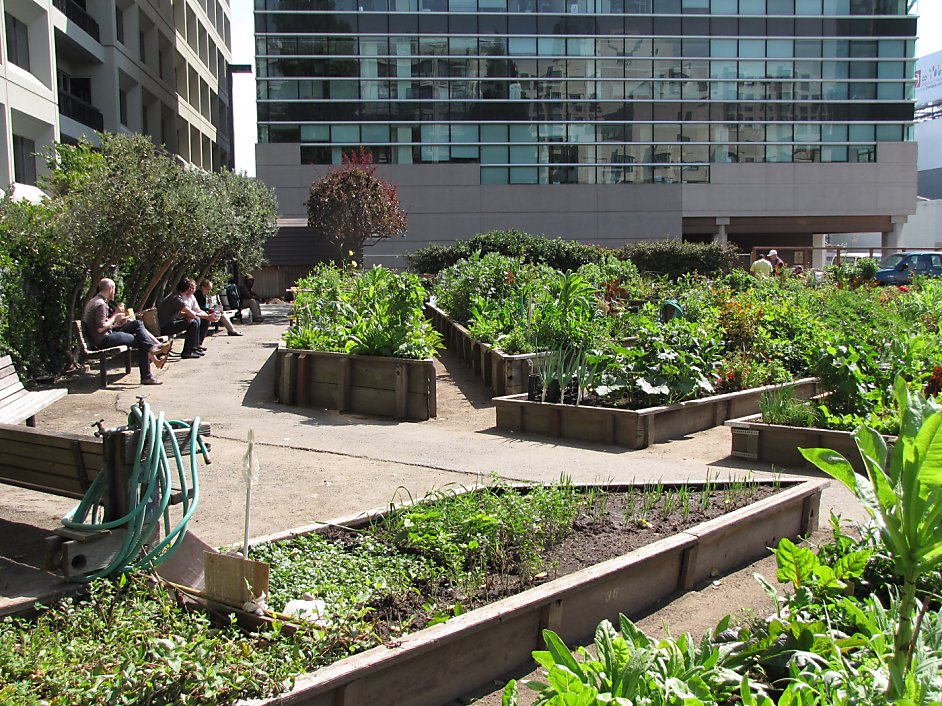 Alice Street Community Gardens a treasure for all
