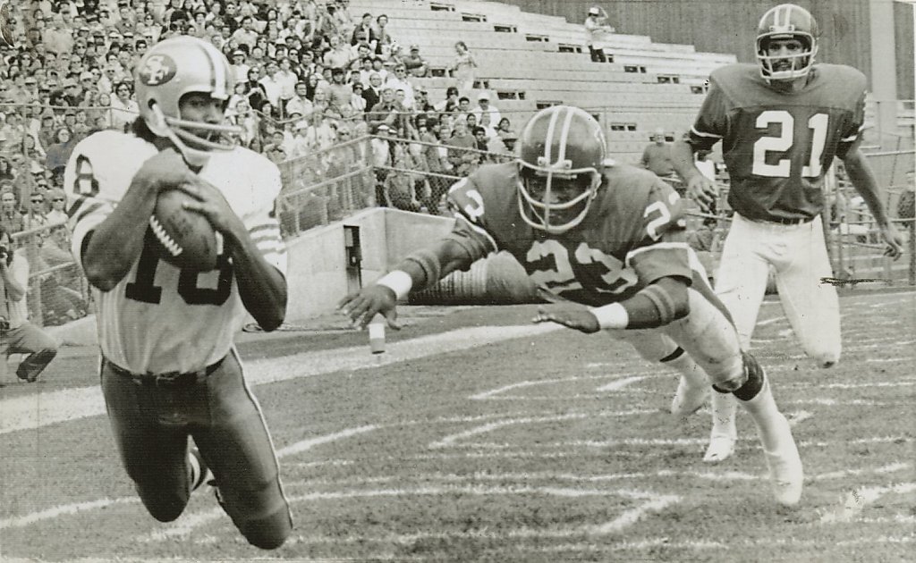 Pat Steger: Little foxes at cocktails