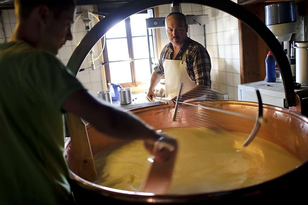 The making of one of the finest cheeses in the world, Gruyere