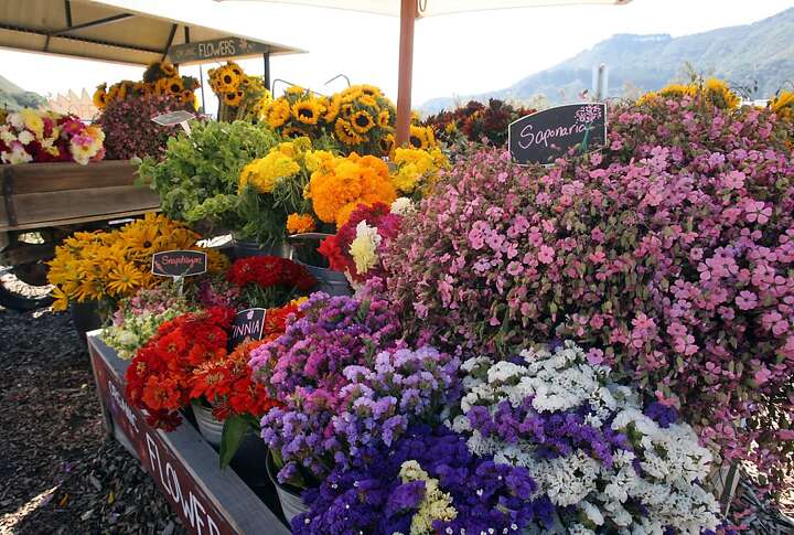 Farm tours and fresh veggies in California's 'salad bowl'