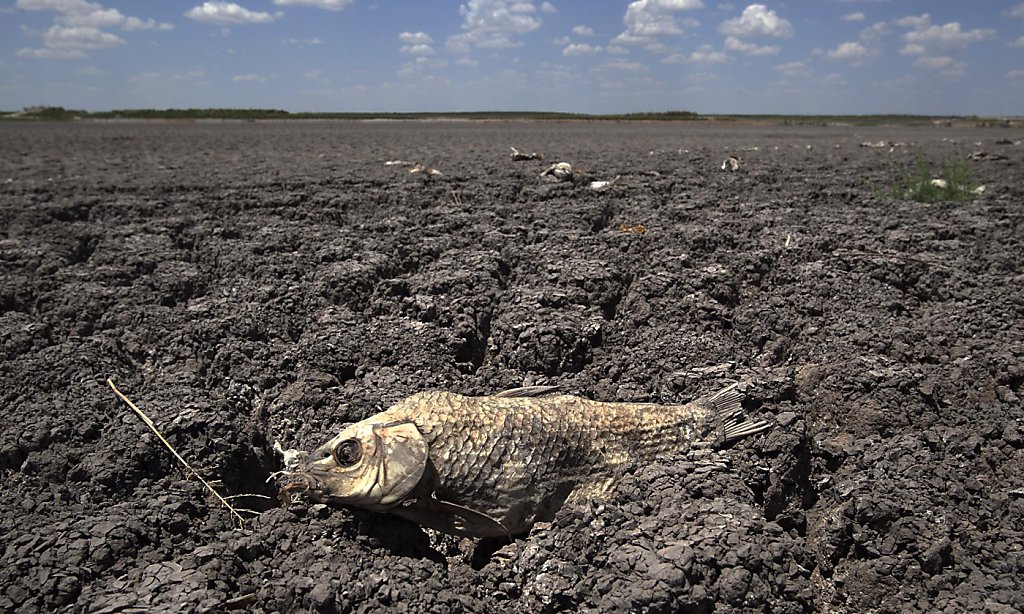 Texas lakes dry up