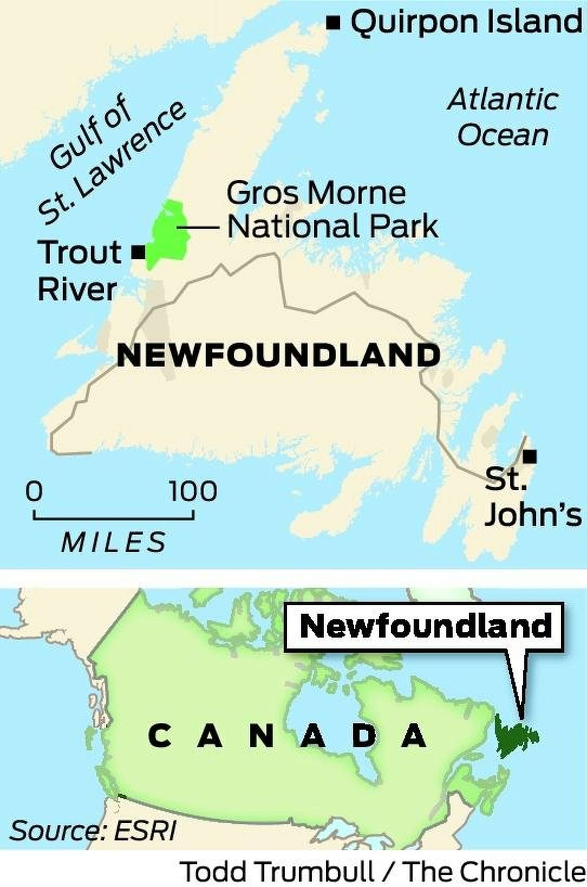 Quirky Newfoundland's Viking trail