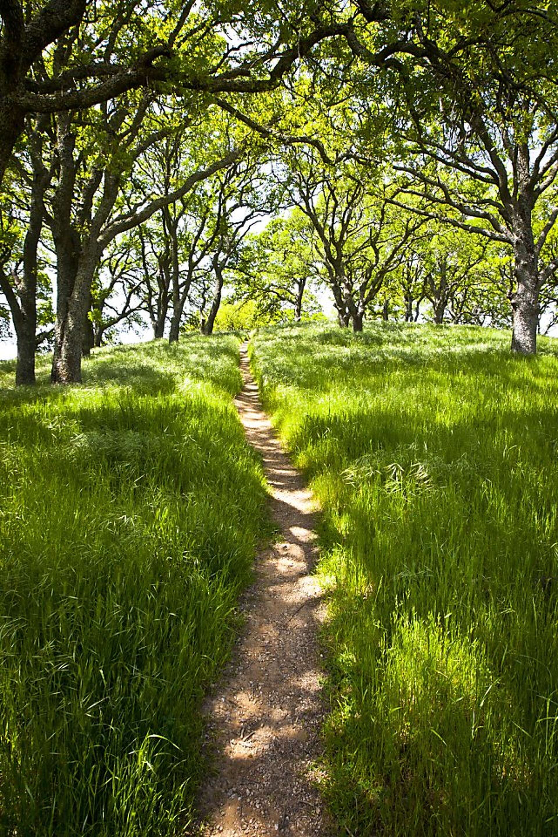 The best spring hikes in the Bay Area