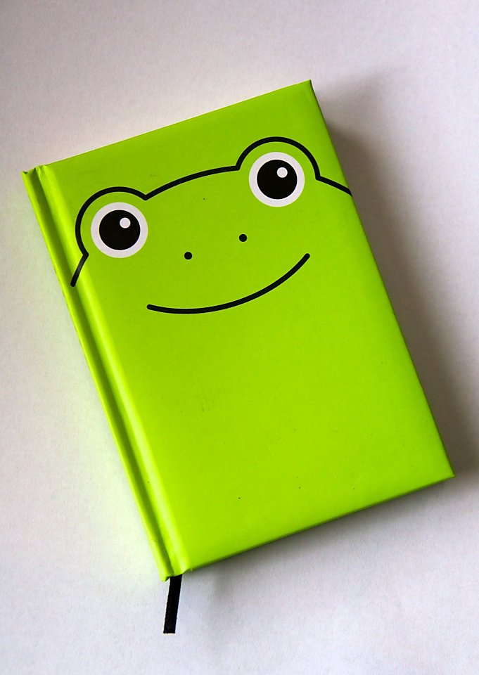 Frog*Note notebook for travelers