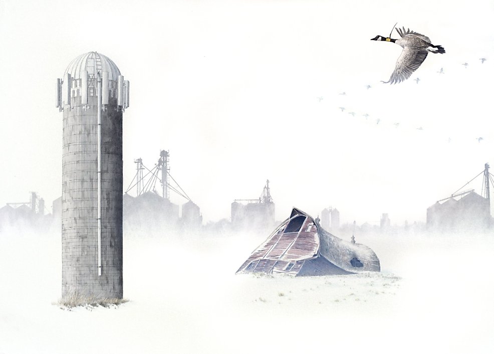 'Invasive Horizon': Humans' impact on nature