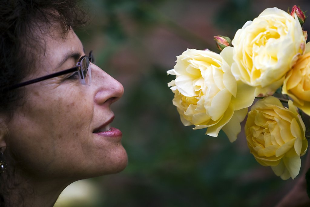 Laurie Barkin's memoir 'Comfort Garden' on trauma