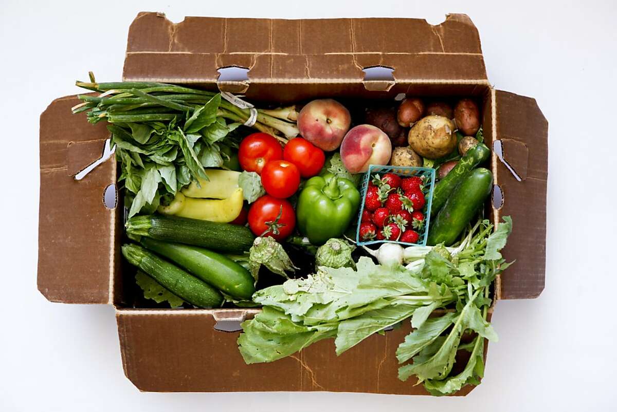 Community Supported Agriculture gets creative juices flowing