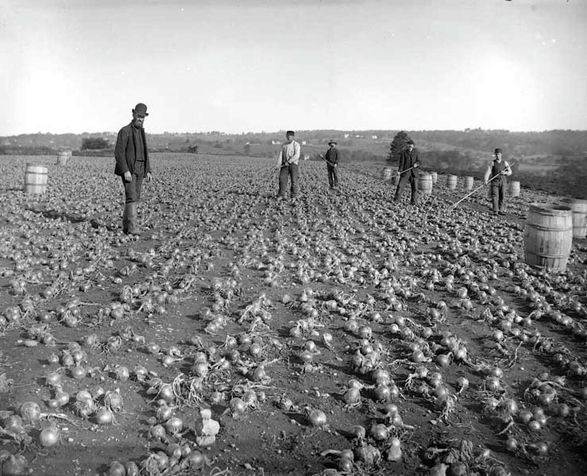 On the homefront as the Civil War turned to peace