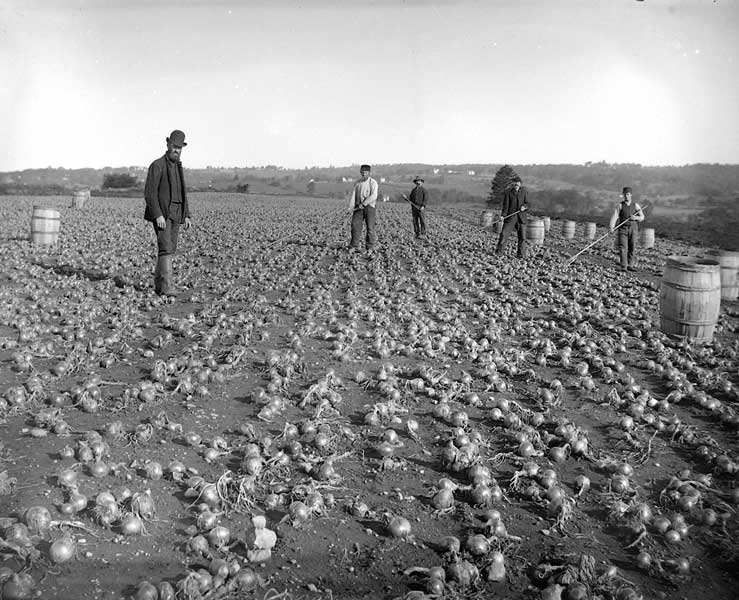 On the homefront as the Civil War turned to peace