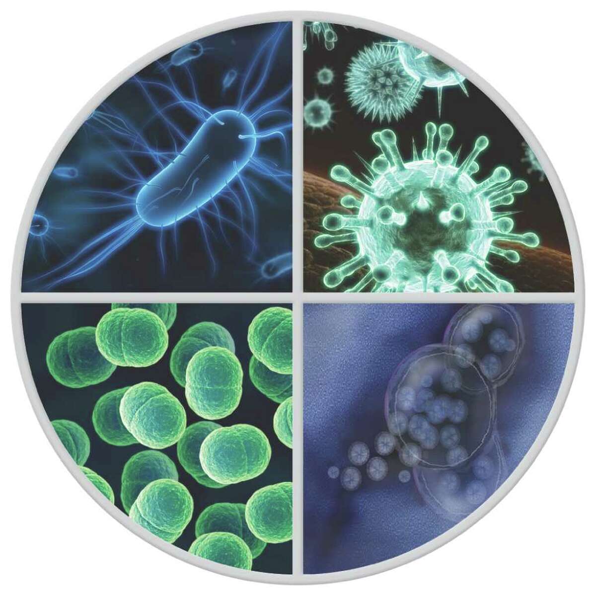 Germs are everywhere, so deal with it