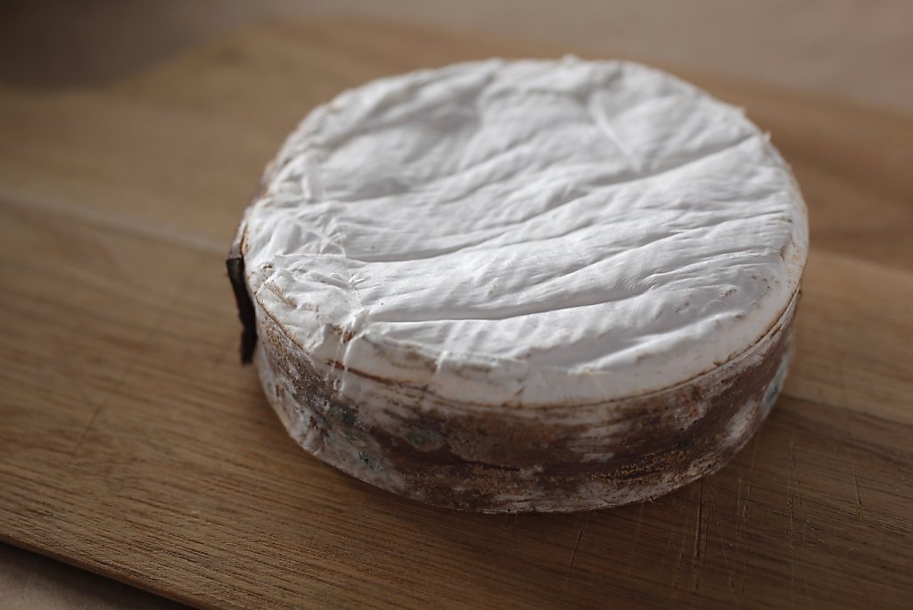 Harbison born of experiment at Jasper Hill Farms