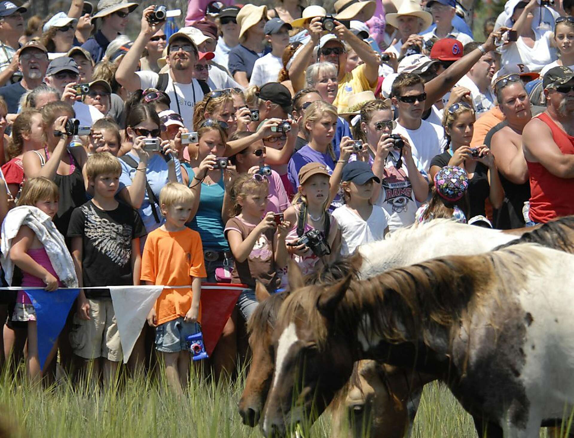 86th annual Chincoteague Pony swim