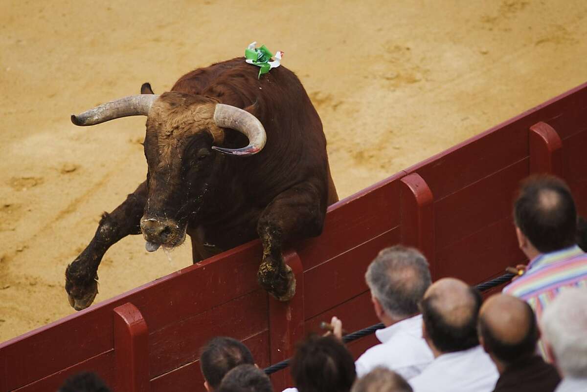 Highlights from Spain's bullfighter Jose Tomas return to the ring