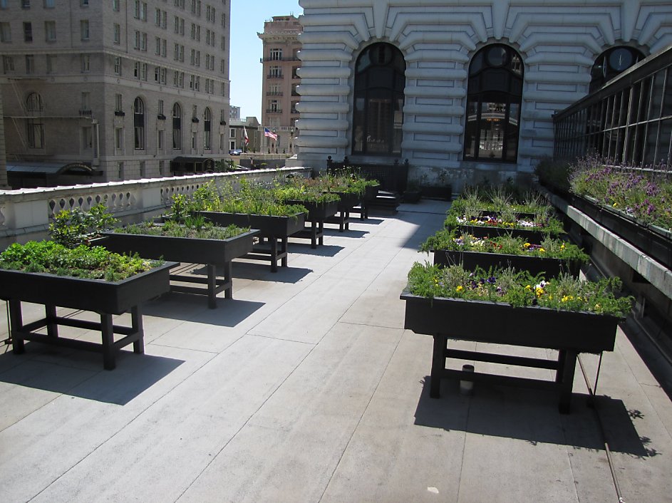 Rooftop Garden Building San Francisco | Fasci Garden