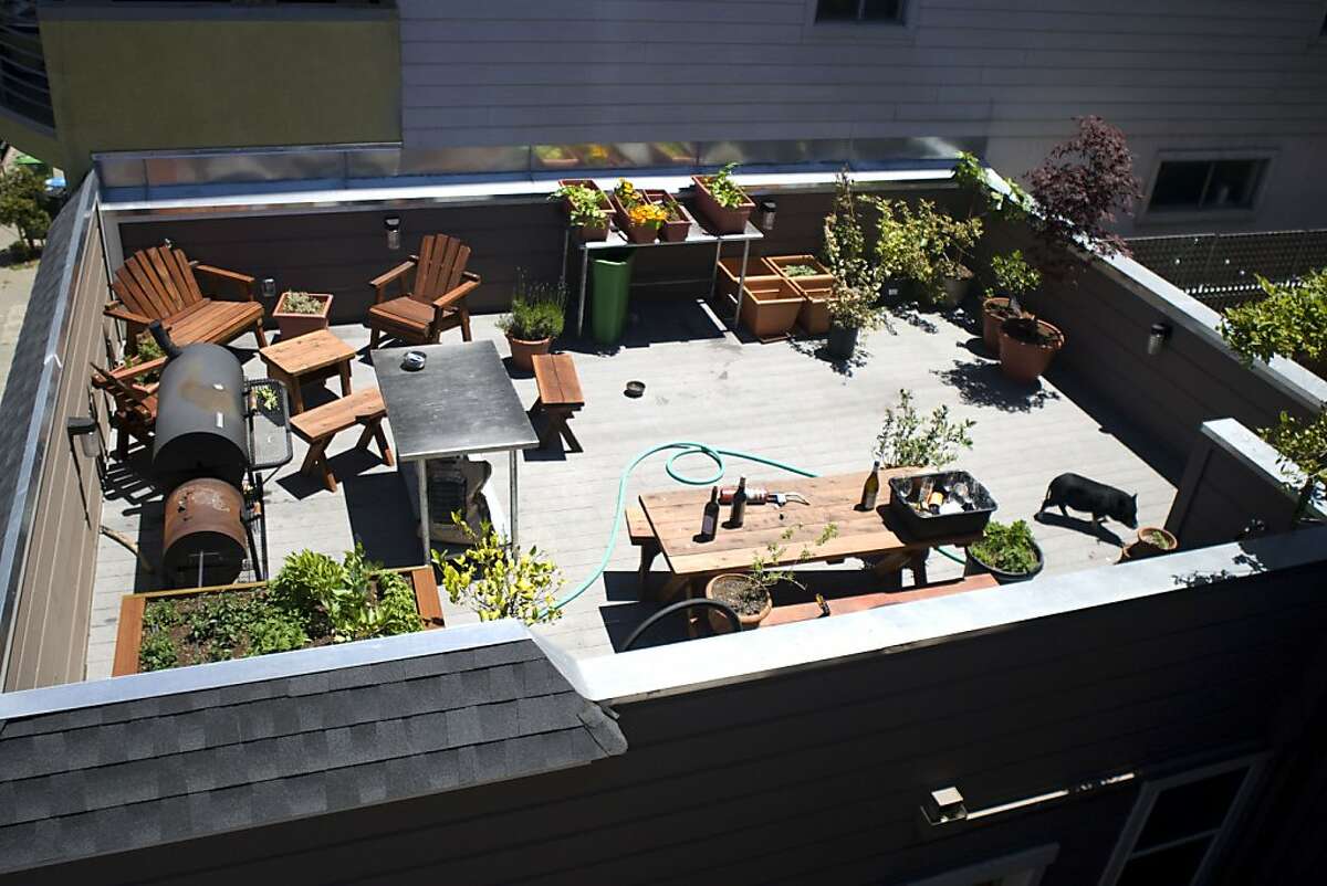Comparing Bay Area rooftop gardens