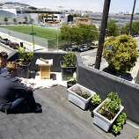 Comparing Bay Area rooftop gardens - SFGate