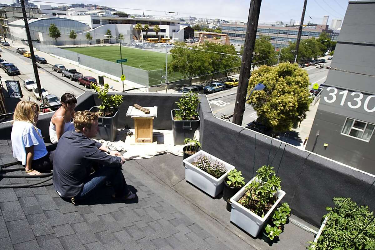 Comparing Bay Area rooftop gardens
