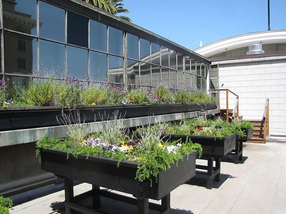 Comparing Bay Area rooftop gardens - SFGate