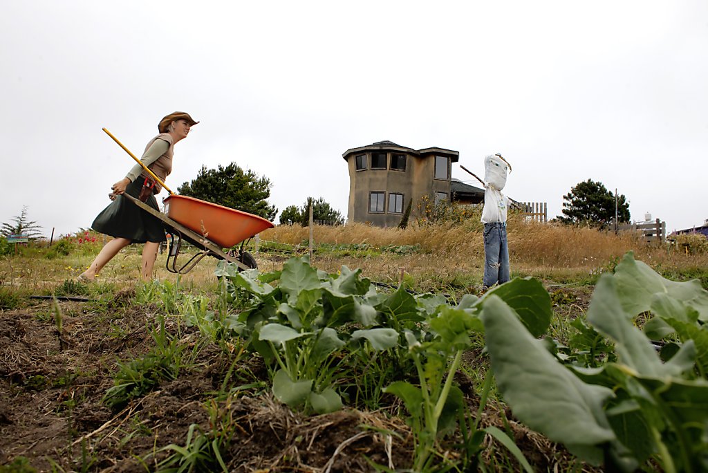 Windy Hollow Farm: Taming the land