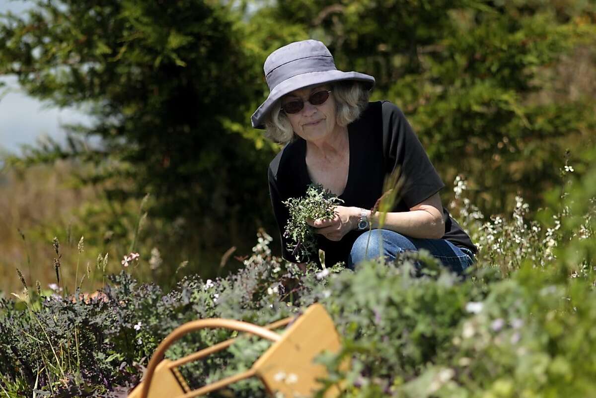 Windy Hollow Farm: Taming the land