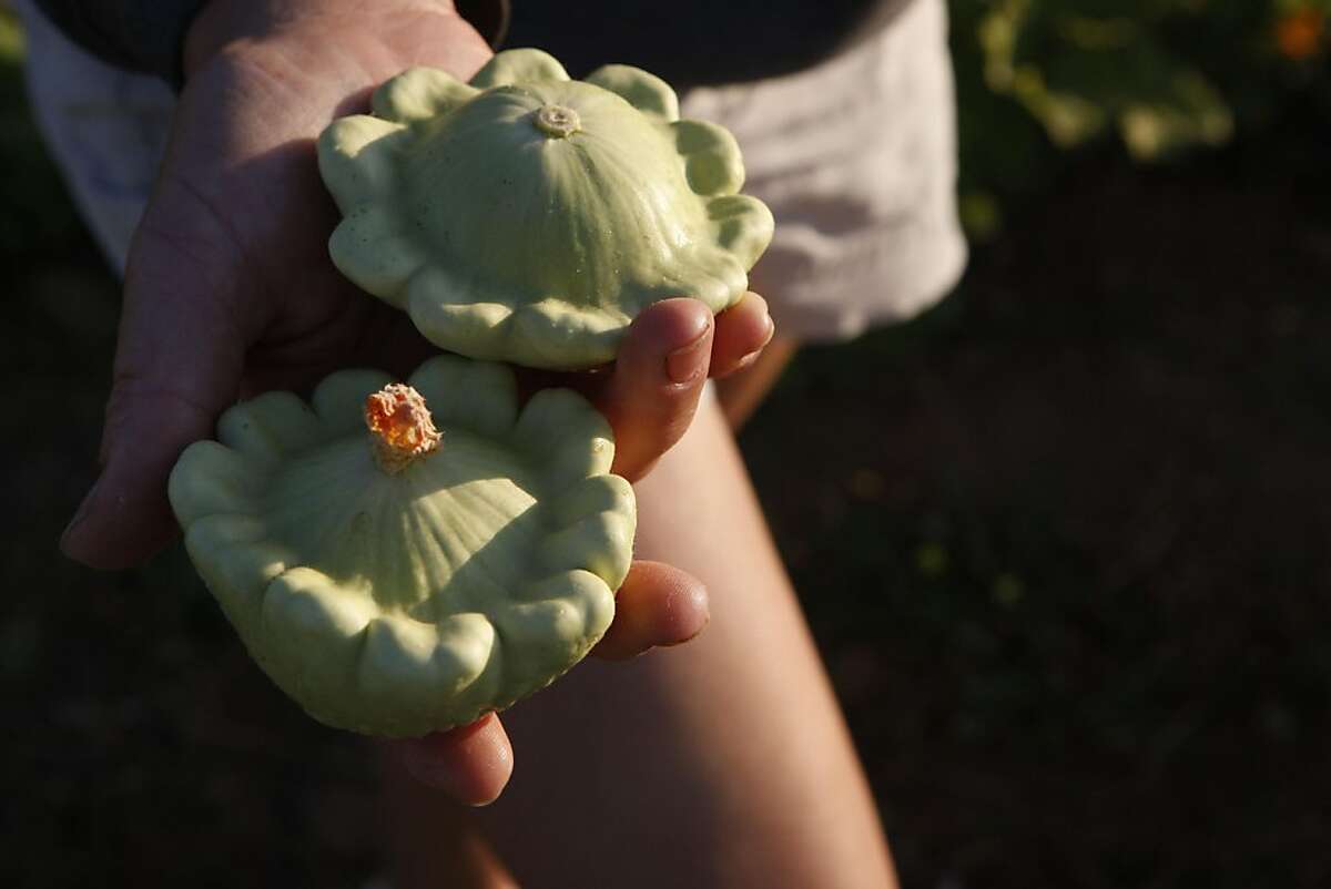 Funding challenges keep number of new farmers low