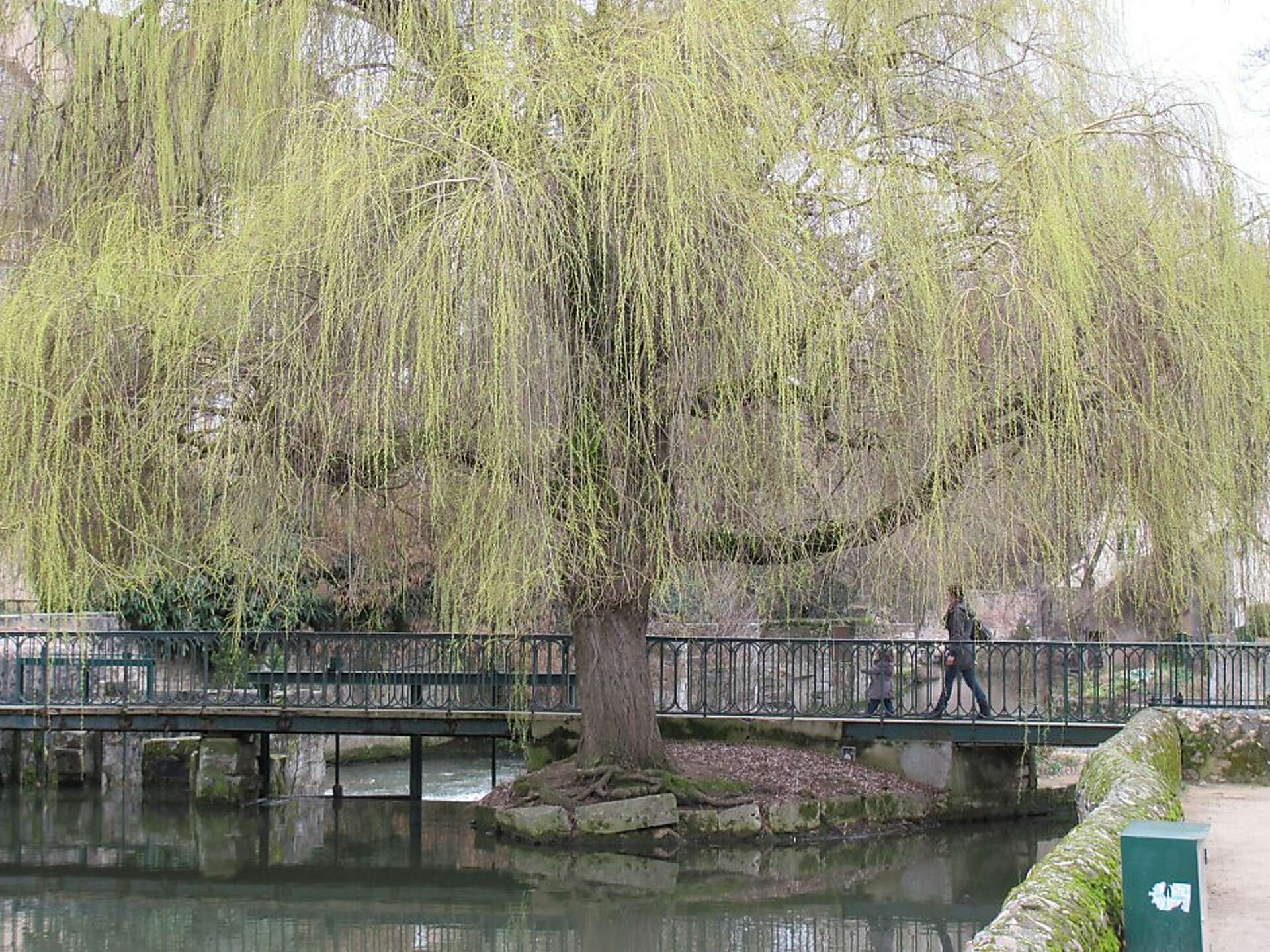 Chartres keeps its spiritual allure