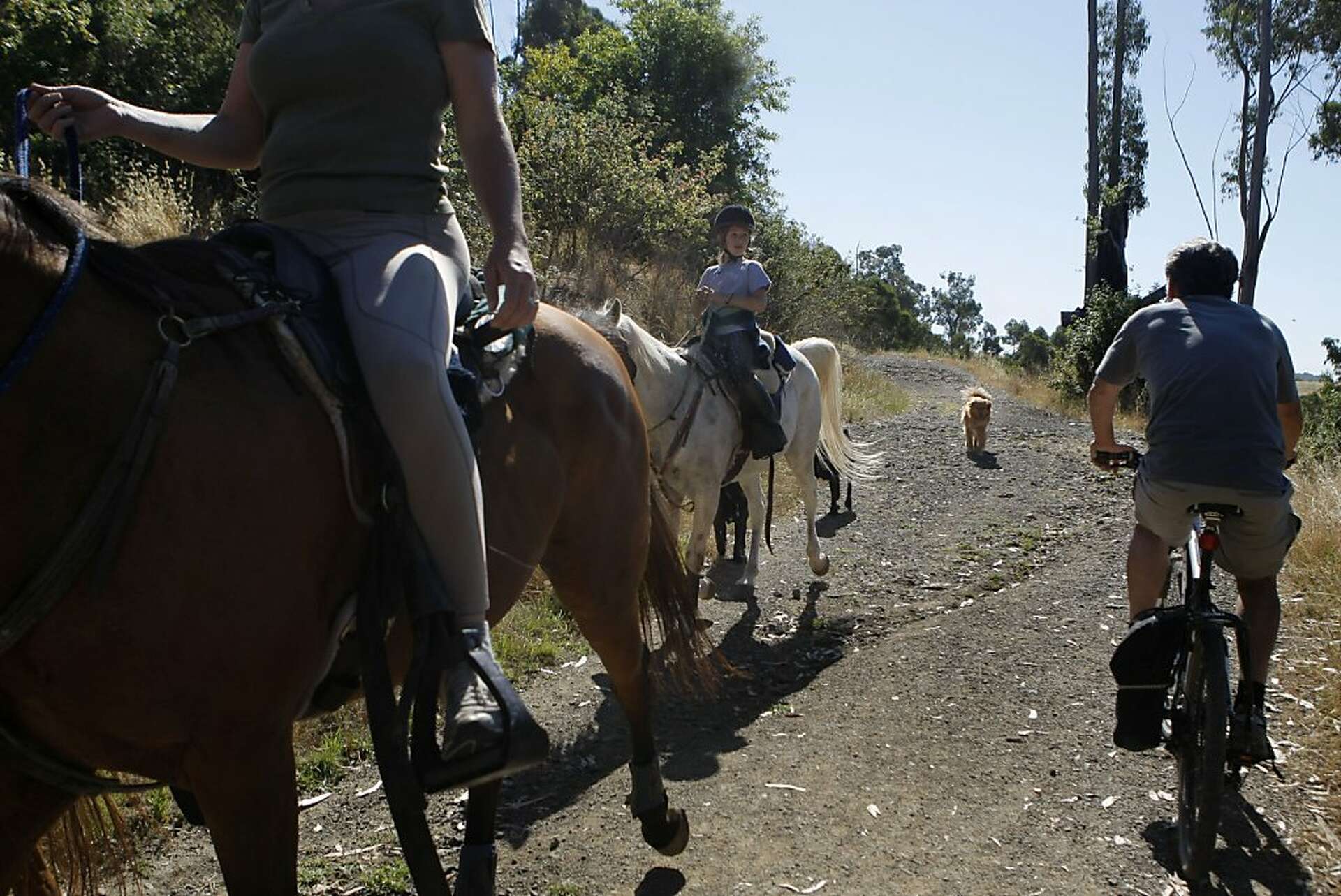 Sorich Ranch Park: Follow trail for panoramic view