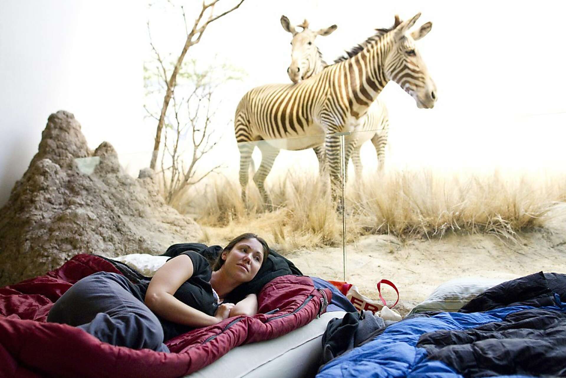 Academy of Sciences' adult sleepover a wild night