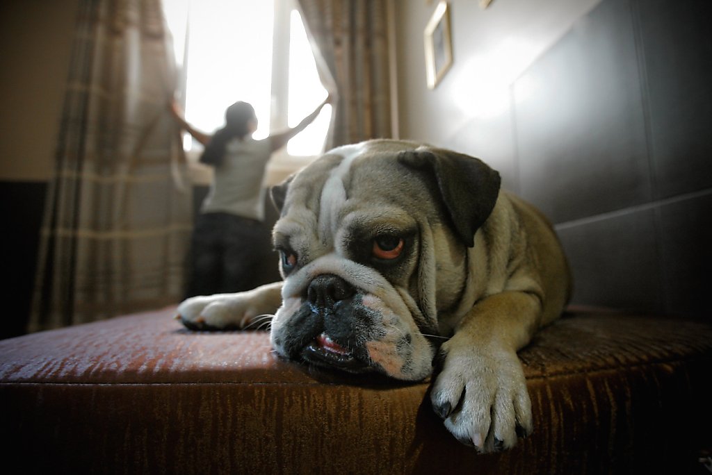 SFGate: Day in Pictures