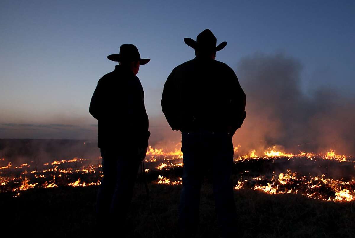 SFGate: Day in Pictures