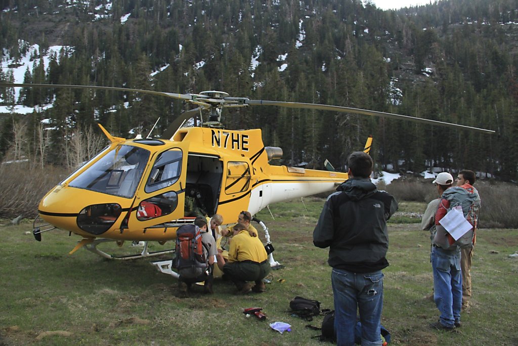 Surviving in an extreme situation