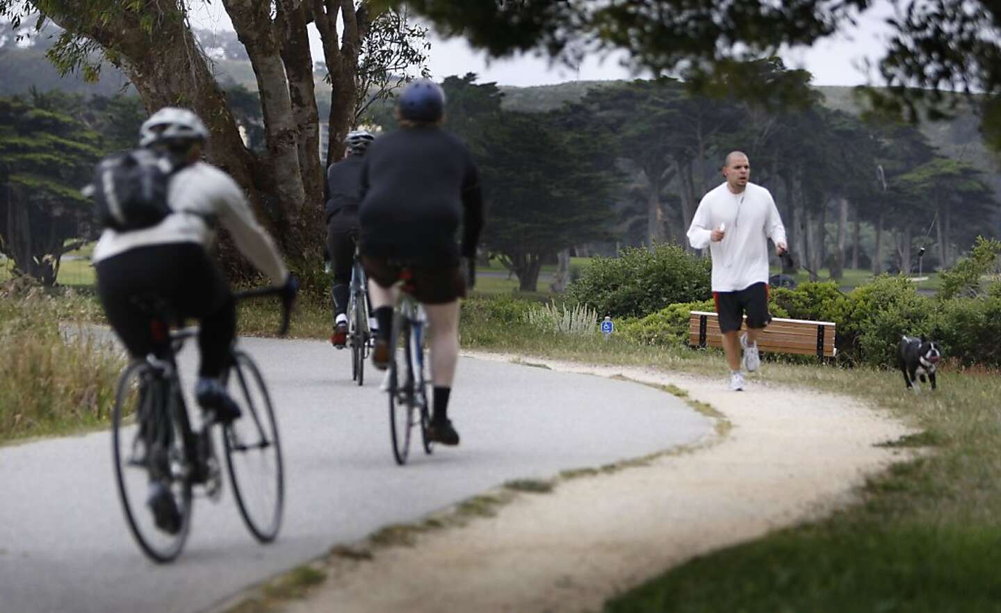 Lake Merced: a lunchtime escape by the shore