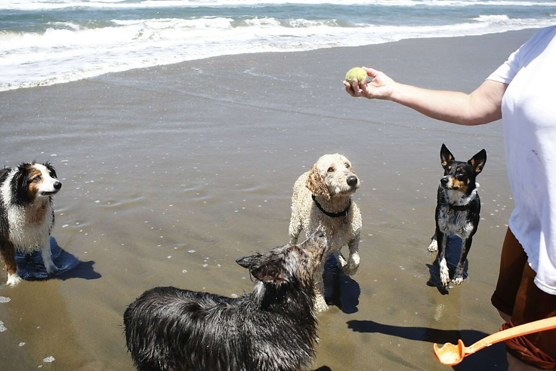First heat wave brings Spare the Air alert