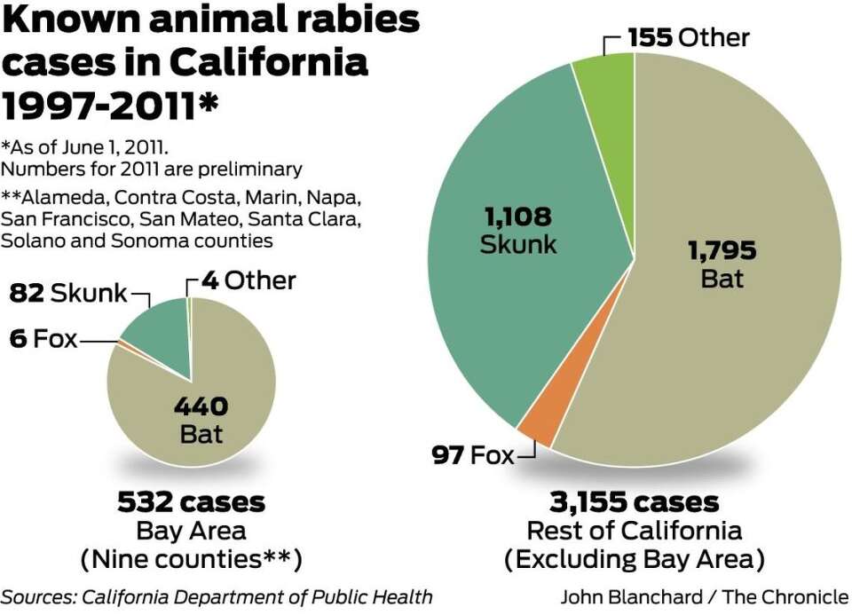 Rabies: Humboldt girl beats virus against odds