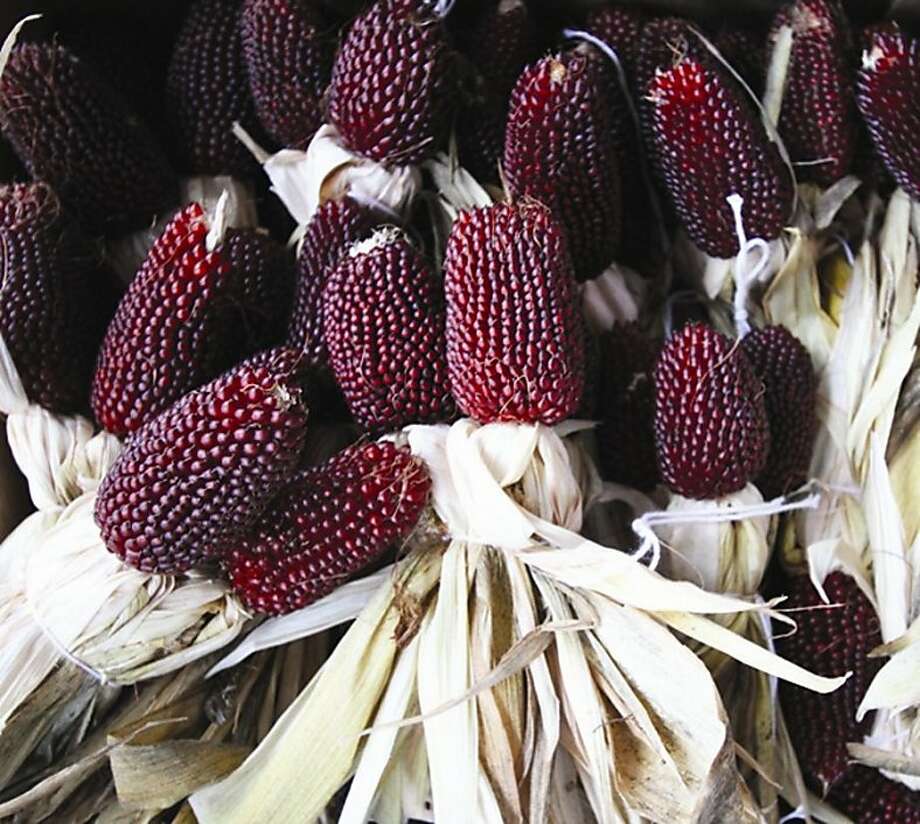 Planting popcorn - SFGate