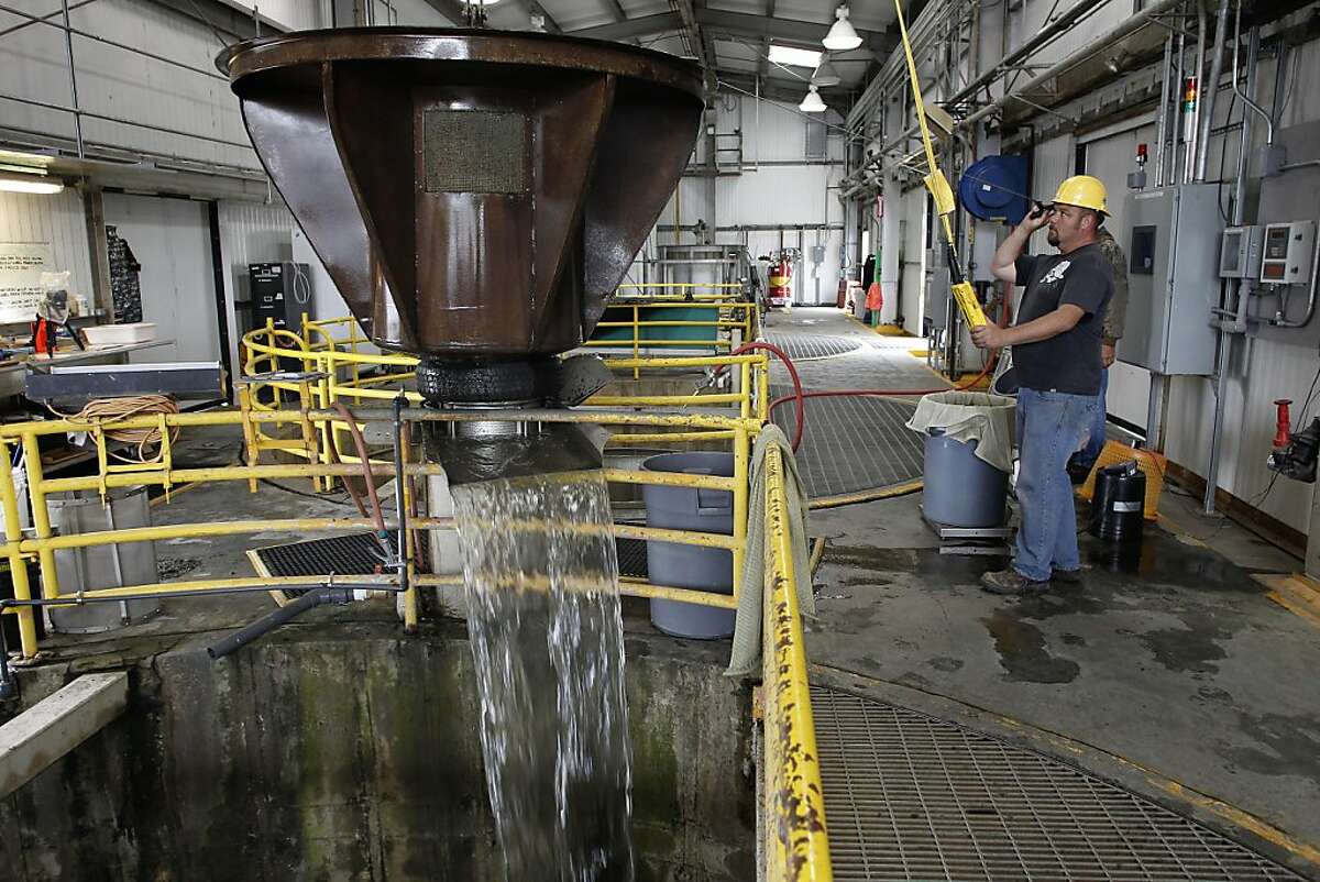 Pumps' fish slaughter alarms conservationists