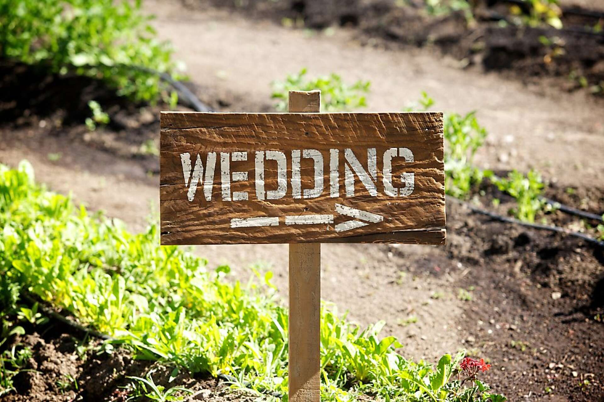 Wine Country weddings a vintage spot for vows
