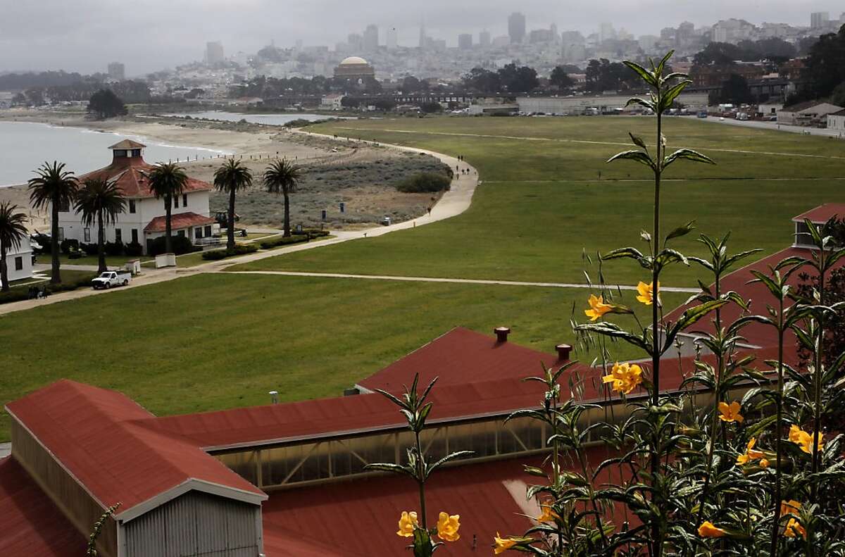 Crissy Field 'magical' 10 years after restoration