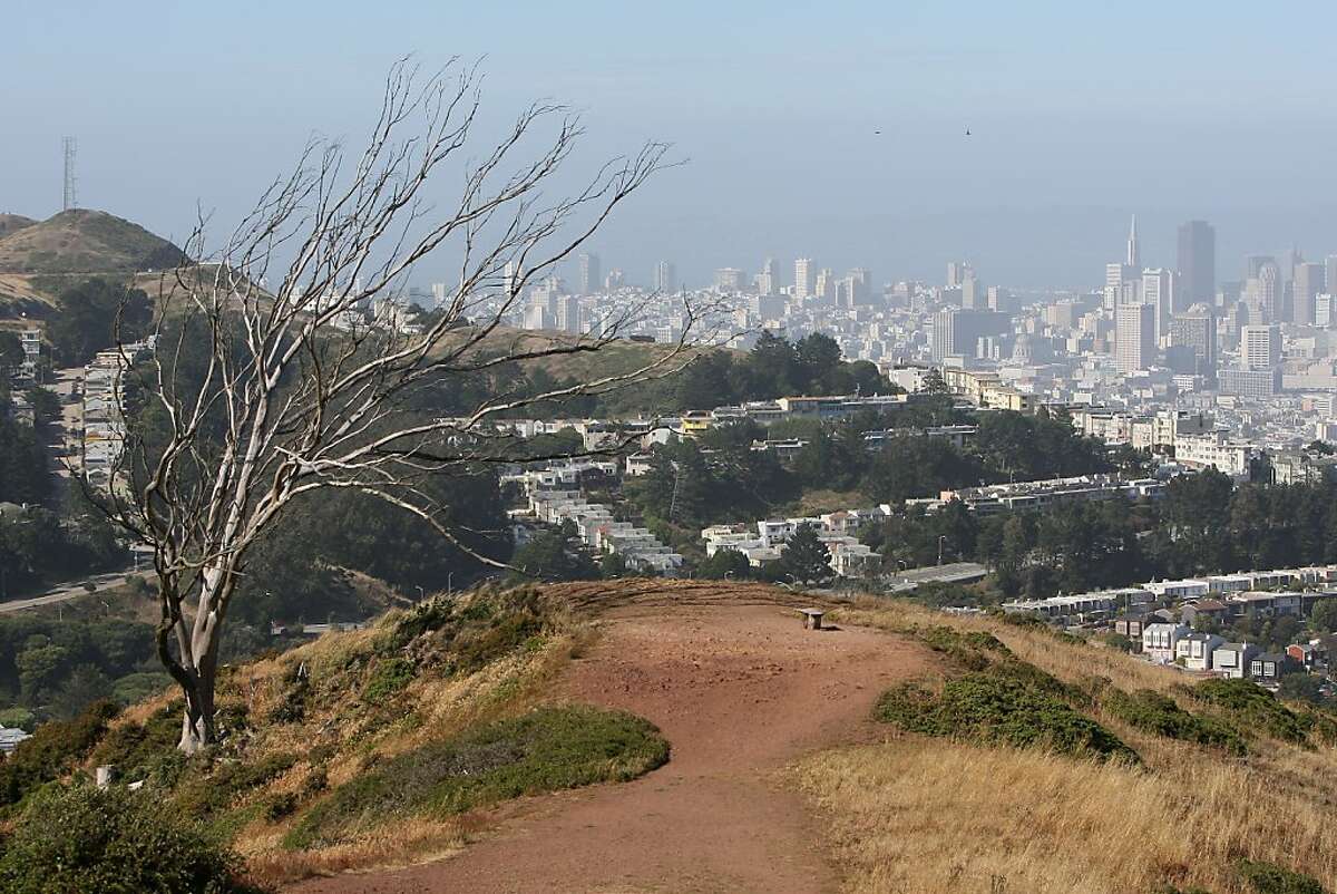 Mount Davidson