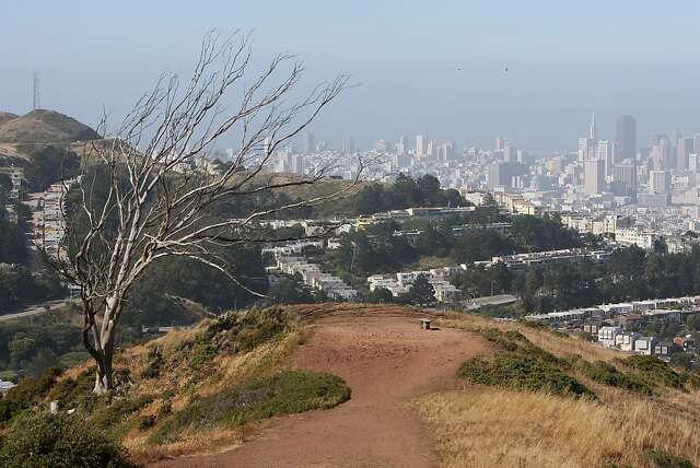 Mount Davidson