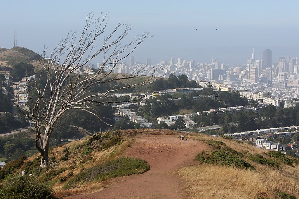 Mount Davidson