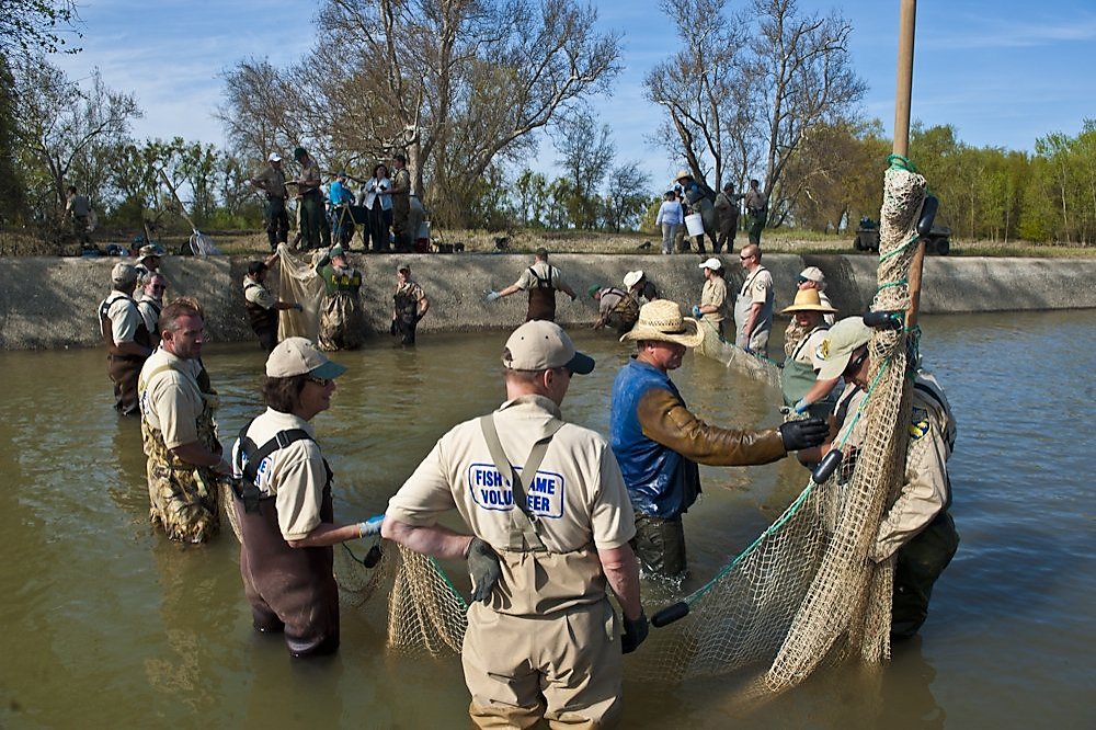 Fish and Game seeks wildlife management volunteers