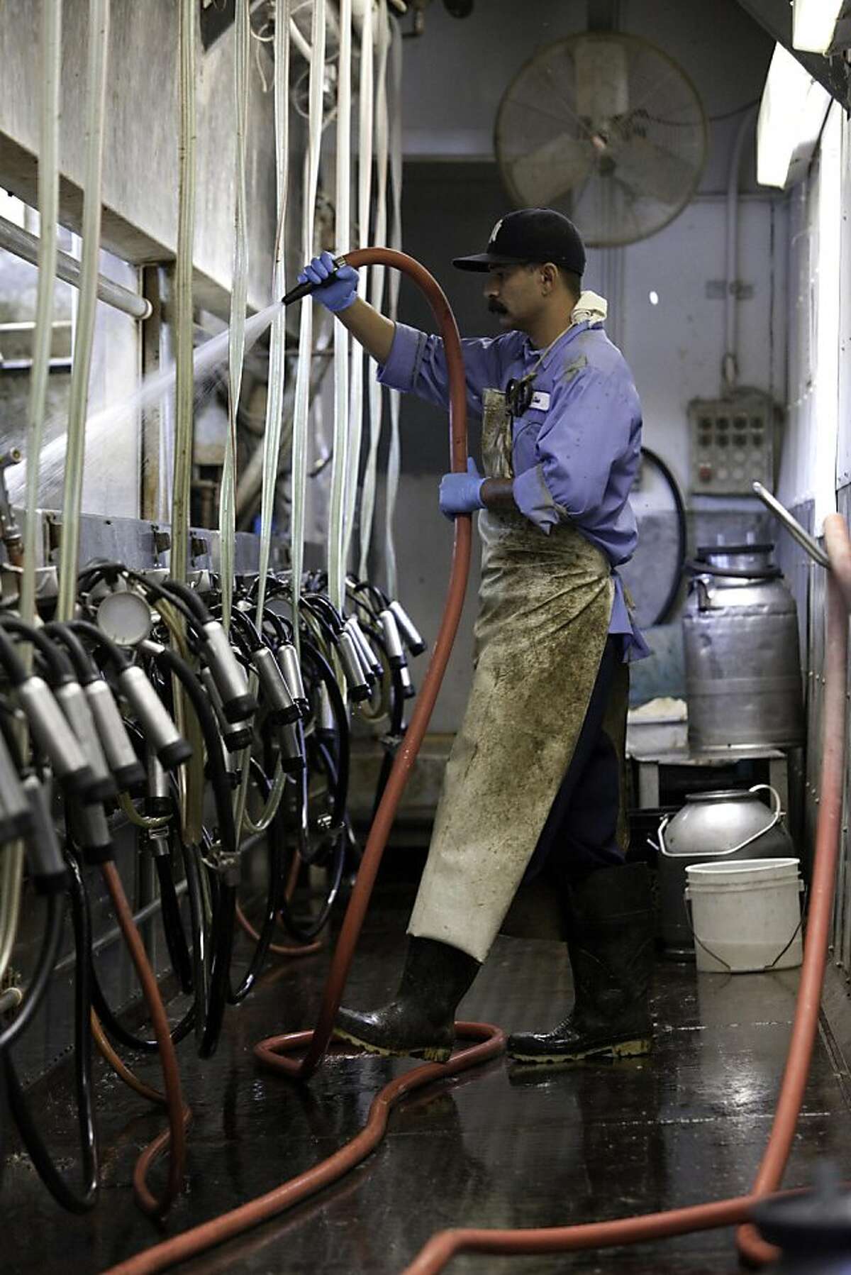 Dan Allgyer latest target in FDA war on raw milk