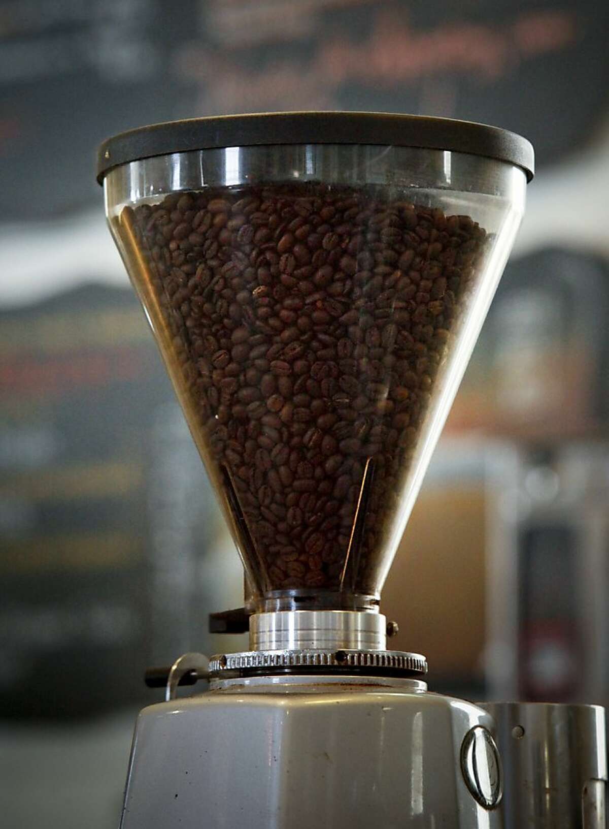 Model Maggie Rizer Mehran's favorite spots