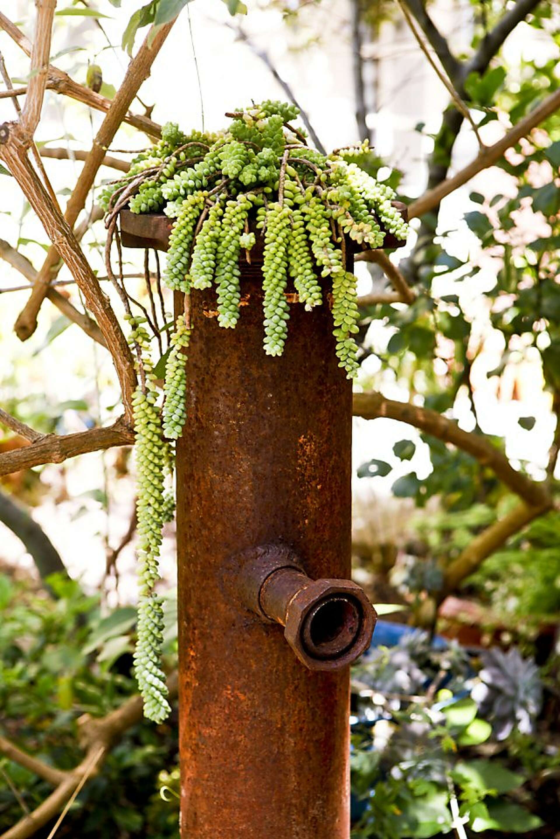 Expect Organic Mechanics to sprout Open Days magic