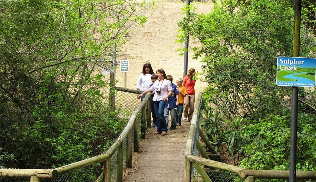 Sulphur Creek Nature Center, Hayward