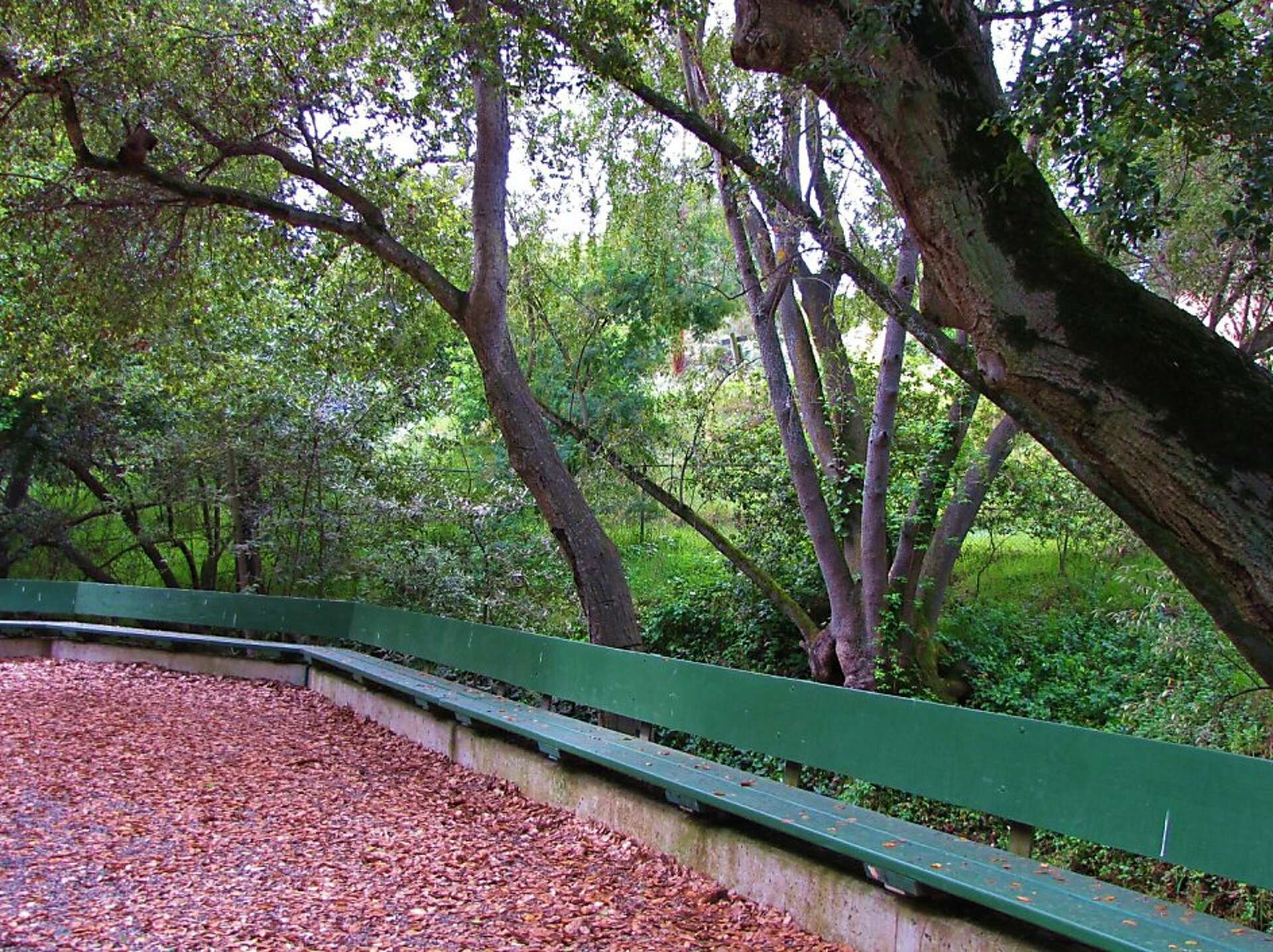 Sulphur Creek Nature Center, Hayward