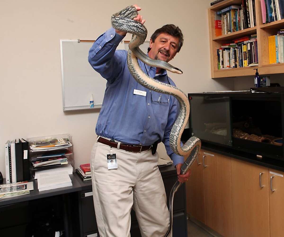 'Slither' exhibit shows magic of snakes, lizards