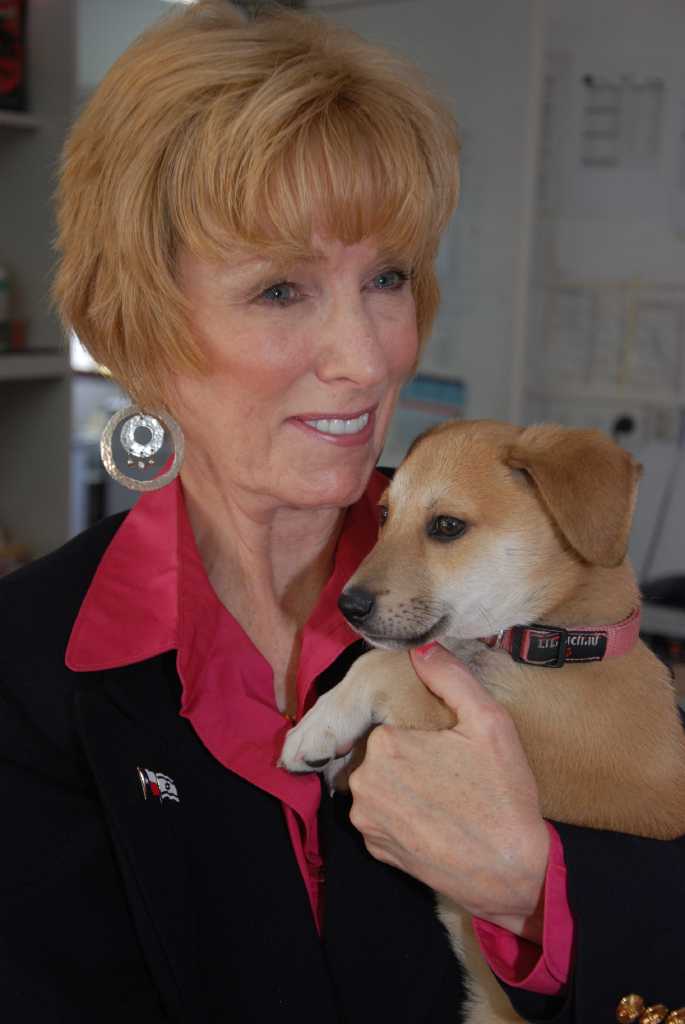 An Israeli Puppy's Journey from Jerusalem to Houston