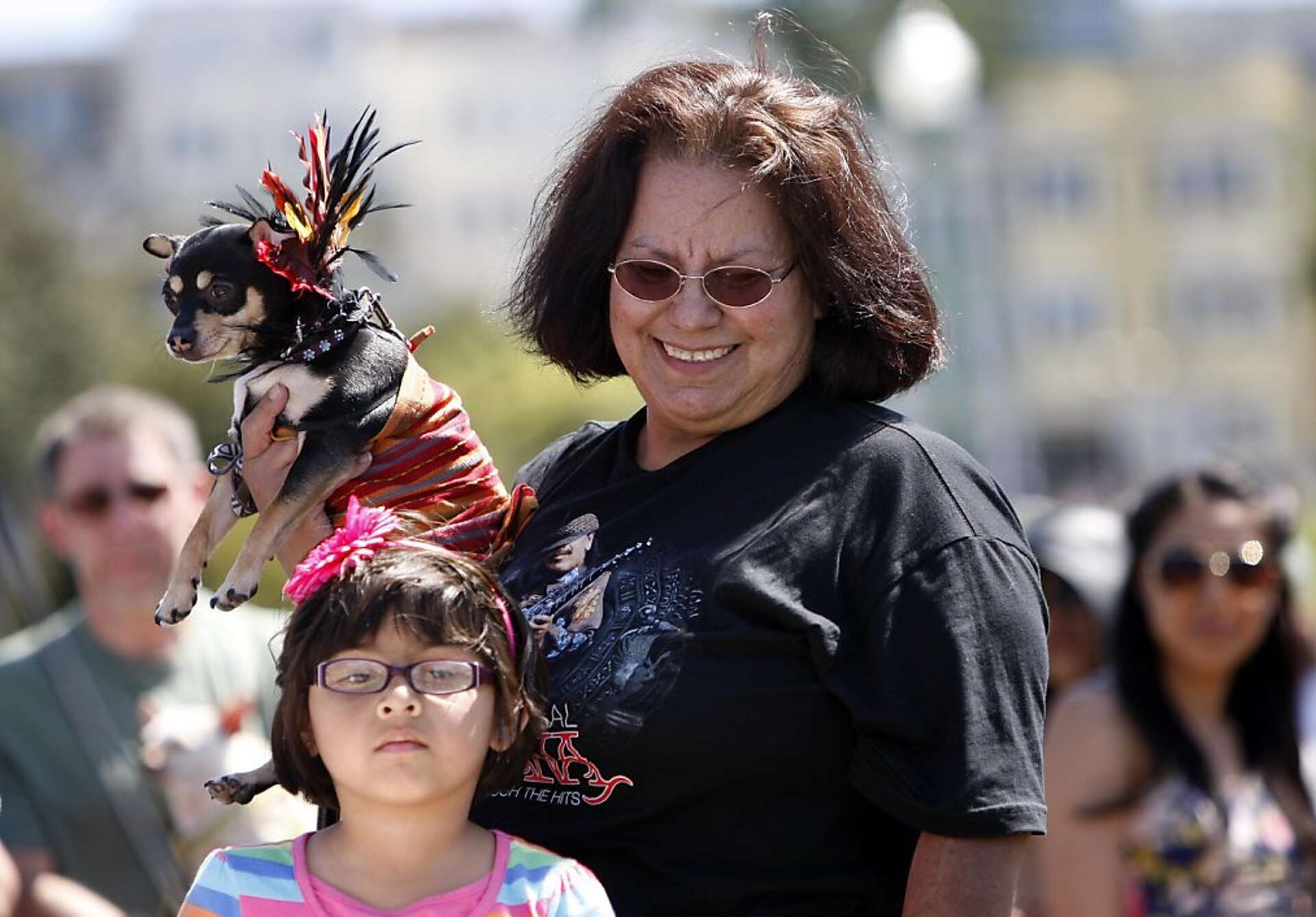 Chihuahuas get their day in the sun